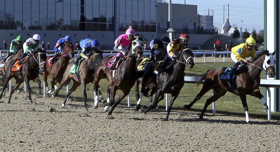 Live Racing Schedule | Turfway Park | Louisville, KY