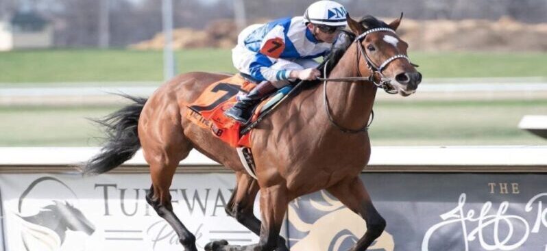 Racing at Turfway Park | Turfway Park Racing & Gaming in Florence, KY